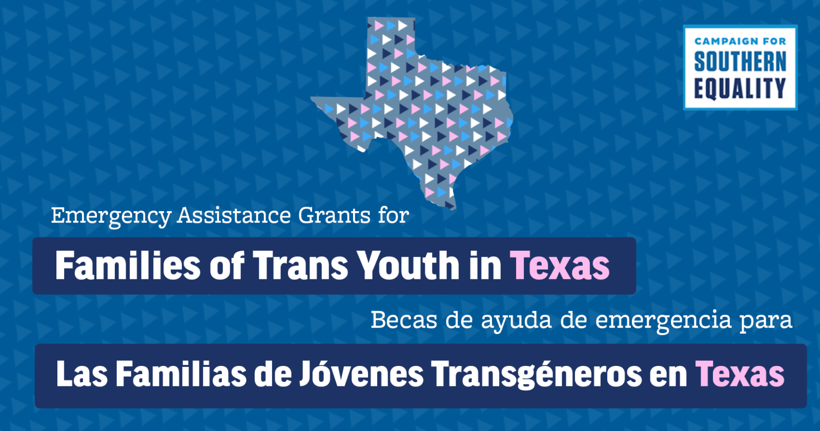 Emergency Assistance Grants for Families of Transgender Youth in Texas ...