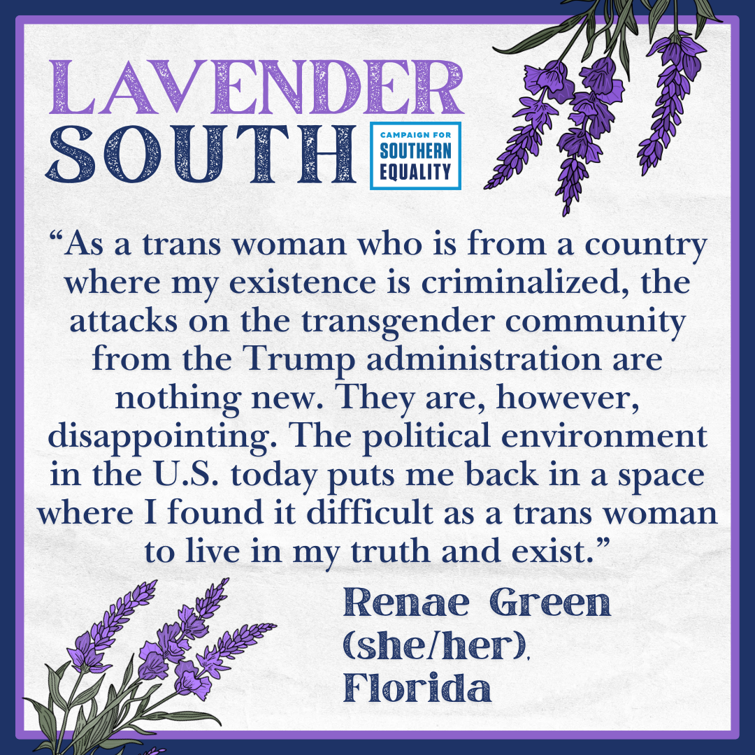 The Lavender South - Campaign for Southern Equality